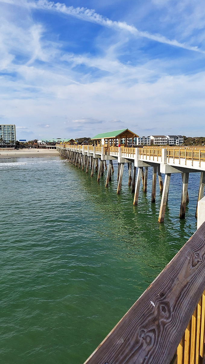 Dawn patrol at the marina boardwalk, where stillness offers a rare glimpse of Folly before the world wakes up.