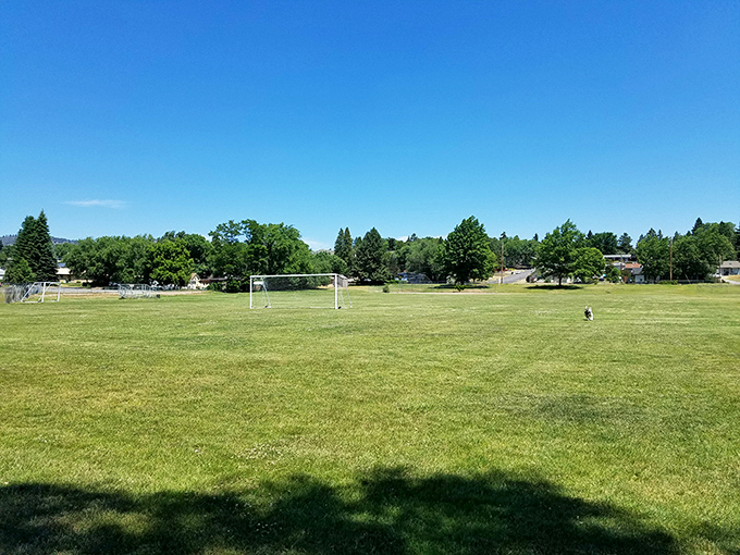 Fields of dreams don't require MLB prices. Community parks offer breathing room and recreation without membership fees or dress codes.