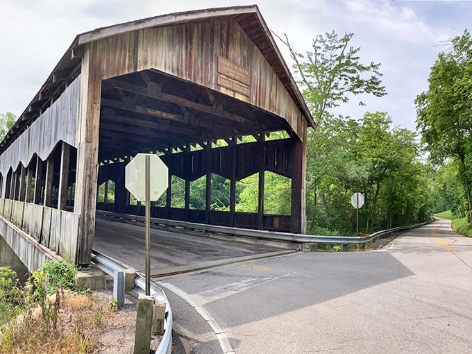 The Corwin Nixon Covered Bridge offers that rare trifecta: historical significance, architectural beauty, and the perfect backdrop for your holiday card photo.
