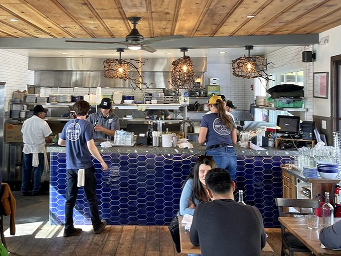 Behind that beautiful blue-tiled counter, seafood sorcery happens daily. The hanging lights look like sophisticated fishing nets.
