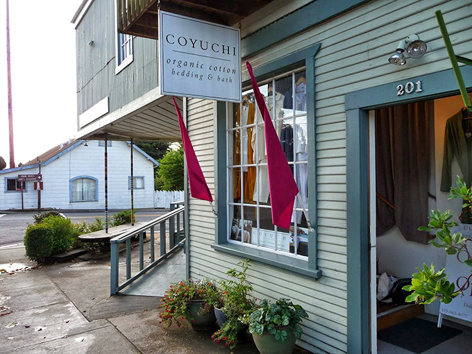 Organic cotton meets coastal cool. Coyuchi brings sustainable luxury to Point Reyes Station with products that feel good in multiple ways.