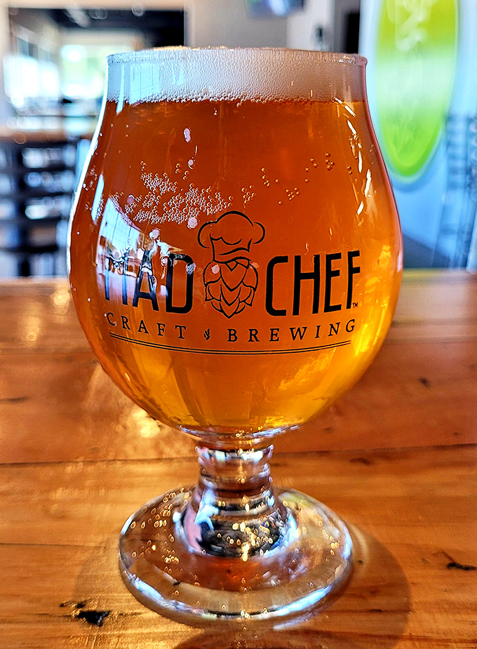 A perfectly poured craft beer in its proper glassware – the hop-forward liquid sunshine catching the light like liquid amber treasure.