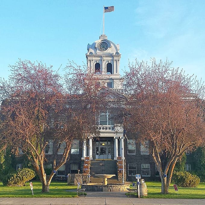 Classical courthouse architecture anchors civic life with dignity that inspires community pride.