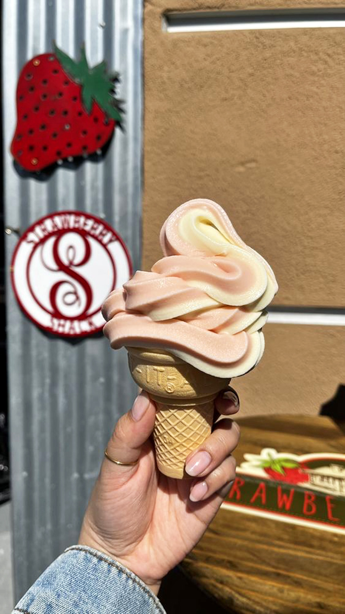 Vanilla custard swirled to creamy perfection, like edible clouds with actual flavor.
