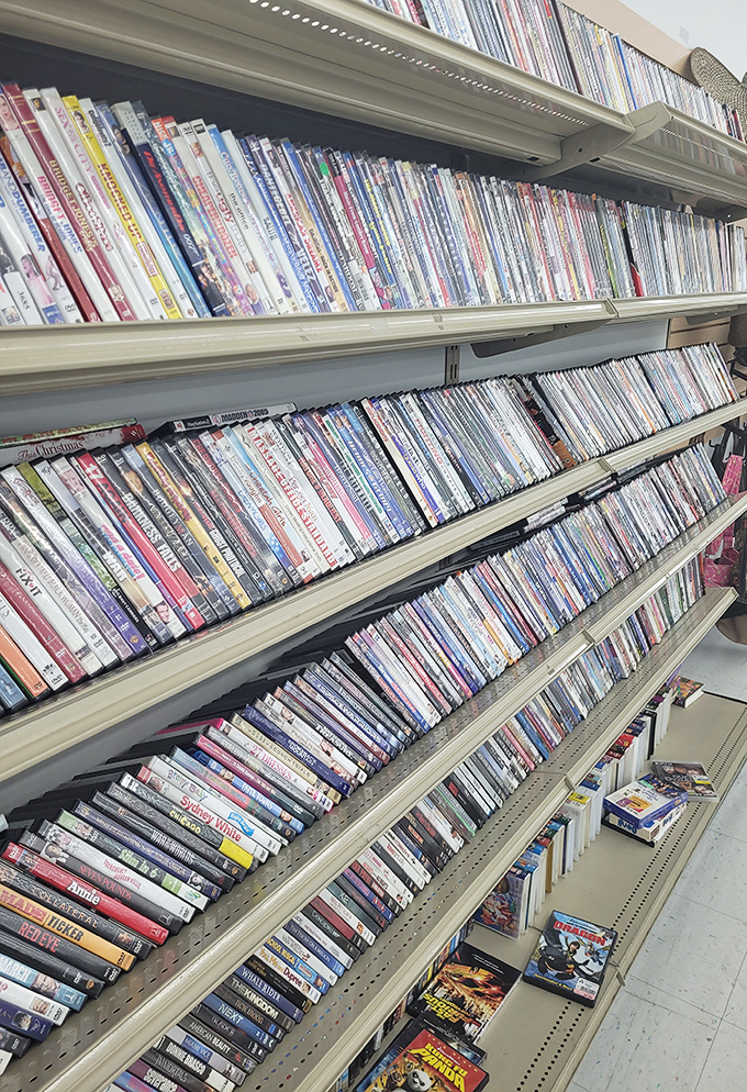 Movie night made affordable! This DVD collection spans decades of cinema history, from blockbusters to forgotten gems, all waiting for their encore viewing.