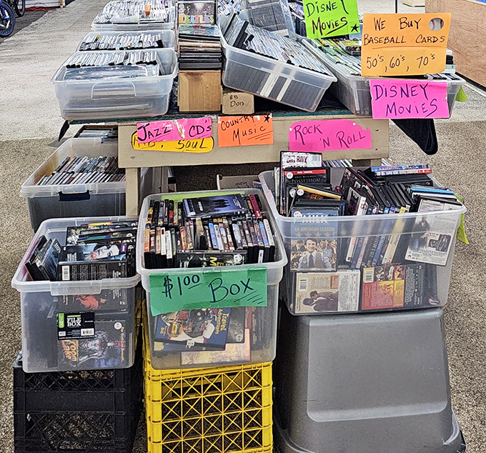 Media nostalgia by the boxful! From forgotten Disney classics to jazz albums that transport you to smoky 1950s clubs in just one listen.