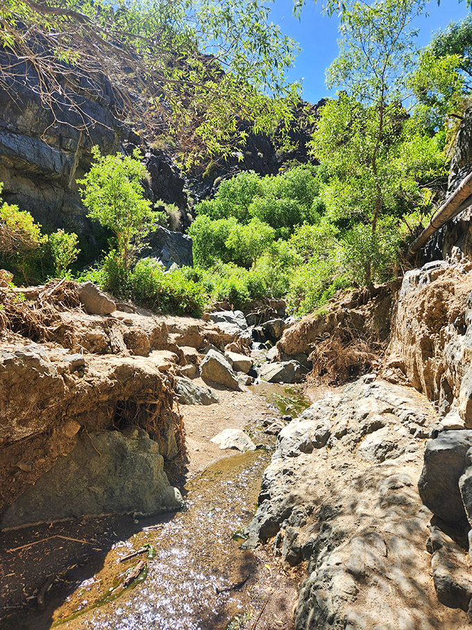 The clear plunge creek reflects the falls like nature's own Instagram filter&mdash;no technology required, just physics and perfect lighting