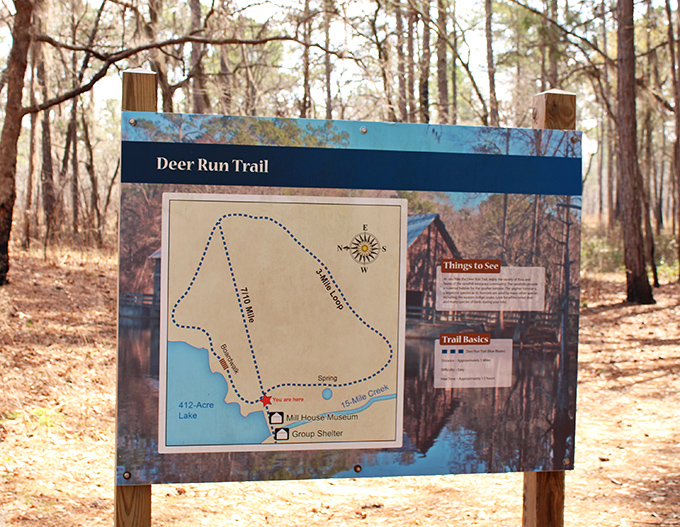Adventure mapped out: the Deer Run Trail promises discoveries around every bend, no GPS required for this journey.