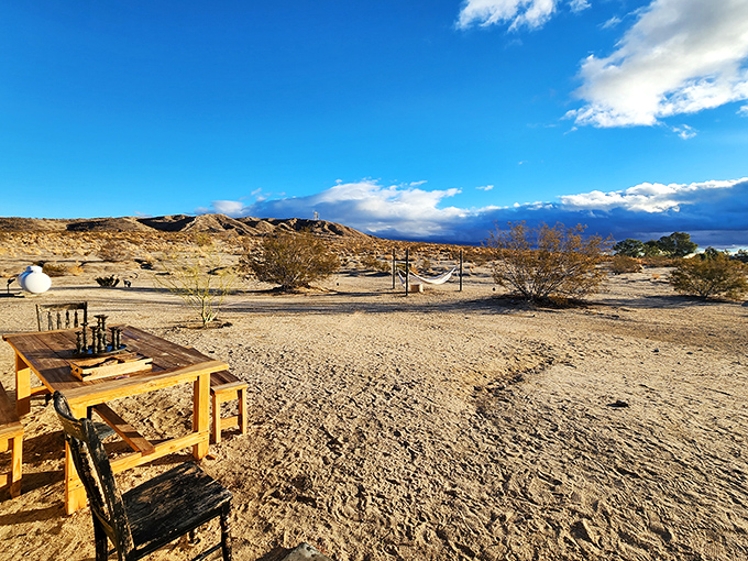 The desert palette of blues and golds creates a natural masterpiece that changes hourly, making every day in Twentynine Palms an art show.
