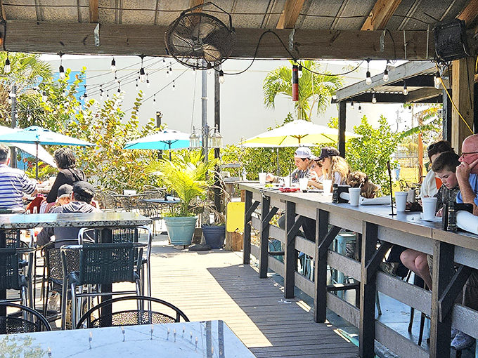 Where strangers become friends over cold drinks and fresh seafood, all while the Everglades whisper their ancient secrets nearby.