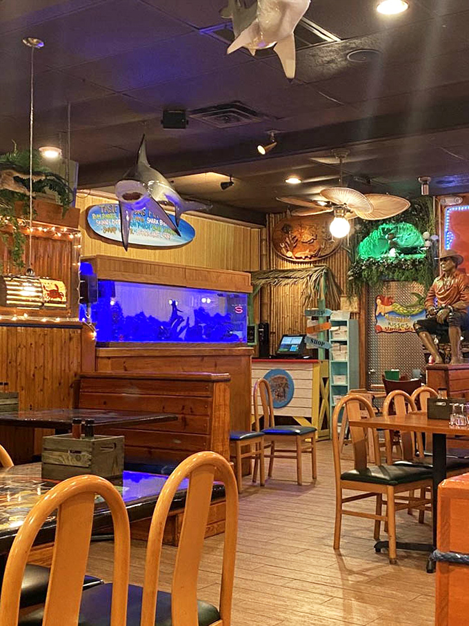 Sharks suspended from the ceiling &ndash; a dining room where the catch of the day watches you enjoy the catch of yesterday.