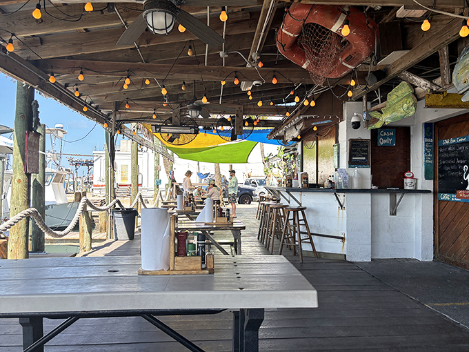 Picnic tables under string lights create the perfect unpretentious dining room. When your view is boats and blue water, who needs fancy decor?