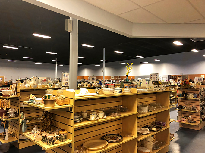 Dishware paradise where mismatched becomes "eclectic" and vintage Pyrex bowls find new homes with appreciative collectors.