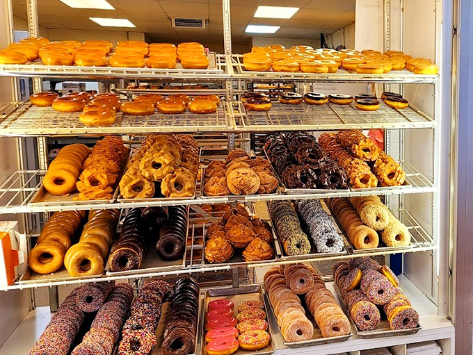 The donut display case&mdash;where dreams are stacked in neat rows and willpower goes to die.