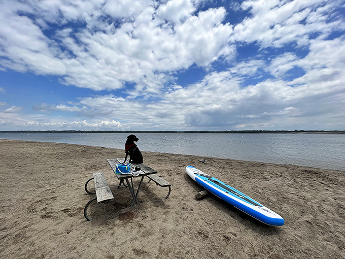 Pure joy has four legs and absolutely no concern about how wet the car seats will be.