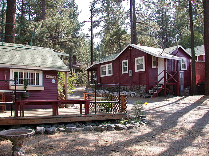 Cabins that make you wonder why you've spent years paying city rent when this slice of pine-scented paradise was just a drive away.