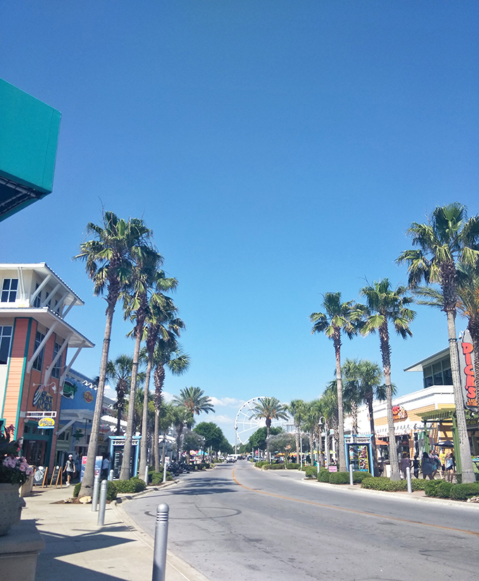 Palm trees frame a street view that screams "Florida living" without actually screaming &ndash; it's more of a contented sigh, really.