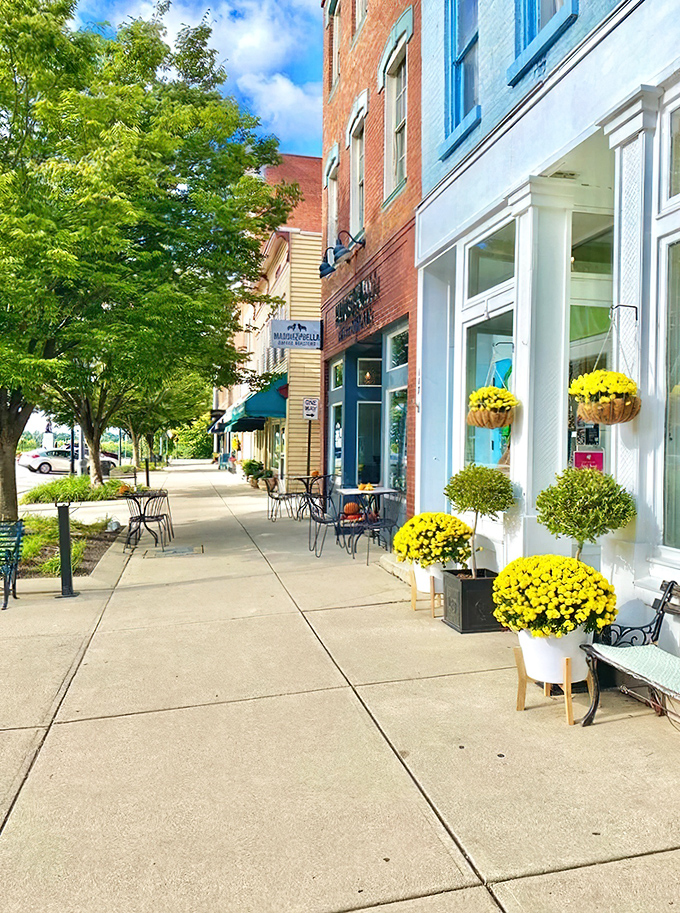 Downtown storefronts burst with color from potted mums, creating an accidental masterclass in curb appeal that HGTV couldn't script better.