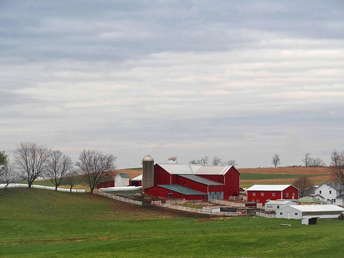 Fall in Amish Country paints with nature's richest palette. Even the water tower seems to stand a little taller amid autumn's glory.