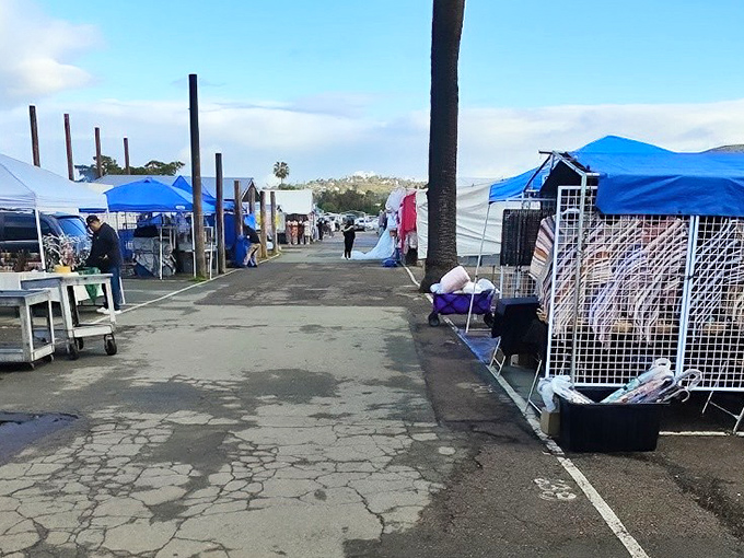 Early birds get more than worms at the swap meet—they get first pick of treasures while vendors arrange their wares under the coastal morning sky.