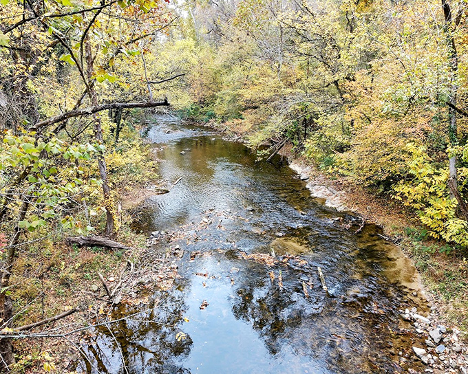 Autumn paints the Little Pigeon River with golden brushstrokes. This peaceful waterway has flowed beneath the bridge through wars, depressions, and countless seasons. 