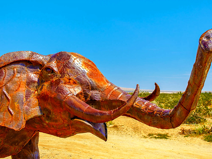 The most photogenic elephant you'll ever meet &ndash; never forgets a pose and requires absolutely no peanuts.