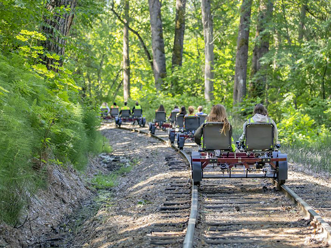 Nature's cathedral&mdash;pedaling through sun-dappled forest corridors creates the perfect meditation on wheels.