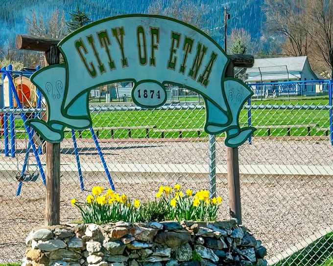 Established 1874 and still keeping it real. Those daffodils aren't just saying "spring" – they're saying "we care about the details here."