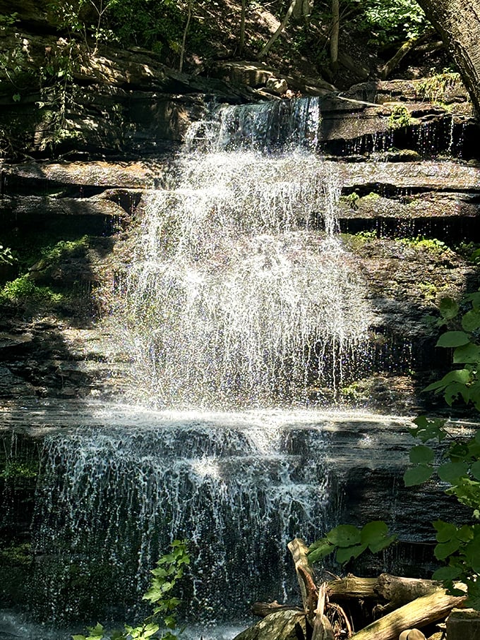 Water cascades over ancient stone ledges, creating a natural symphony that pioneers would have welcomed after dusty days on the trail.