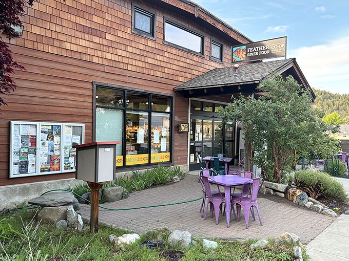 The Feather River Food Co-op&mdash;where purple chairs invite you to contemplate whether your kale smoothie needs more chakra alignment.
