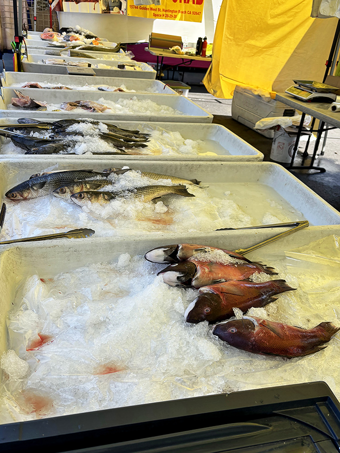 The freshest catch this side of actually catching it yourself. Ocean-to-table without the fishing license.