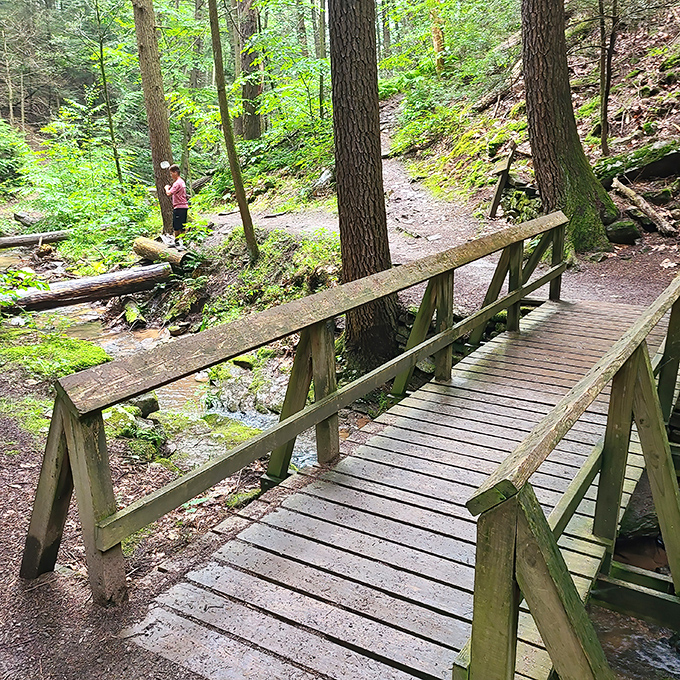 Crossing over to serenity. This humble footbridge connects not just two banks, but visitors to a simpler, more peaceful state of mind.