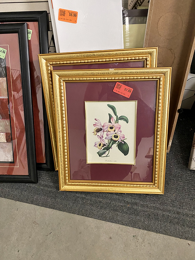 Botanical prints in gilded frames bring instant old-world sophistication to any wall, no green thumb required.