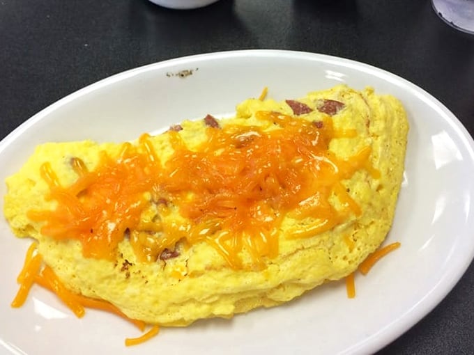 This omelet didn't just incorporate cheese; it embraced it wholeheartedly in a yellow-orange symphony that Mozart would have appreciated.