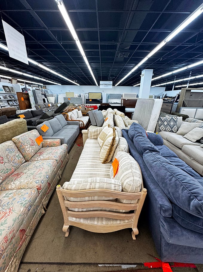 Sofa safari at its finest! Navigate through this furniture jungle to find that perfect conversation piece your living room has been missing.