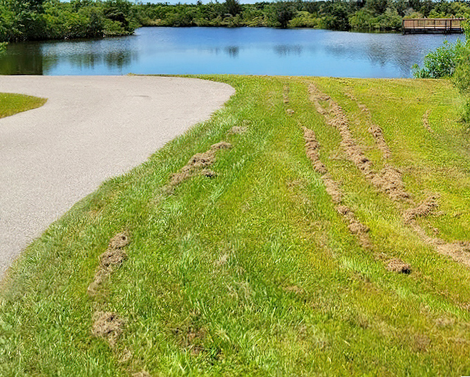 Nature trails and tranquil waters combine at preserves like this, offering peaceful escapes where the only sounds are birdsong and gentle breezes.