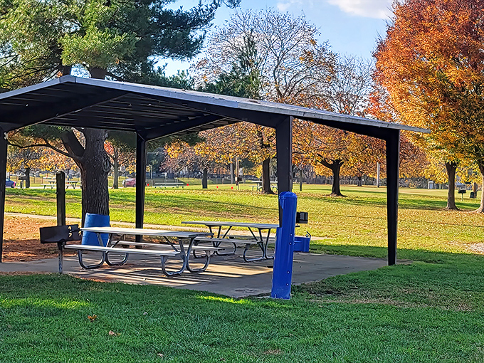 George C. Wright Municipal Park offers peaceful picnic spots where you can enjoy takeout from downtown's many excellent eateries.