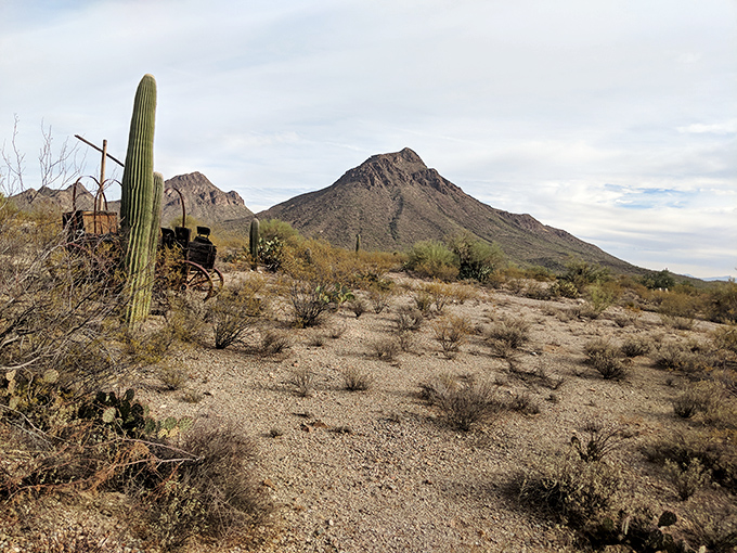 Beyond Old Tucson's borders, the rugged desert landscape stretches toward the horizon, dotted with saguaros standing like patient sentinels of time.