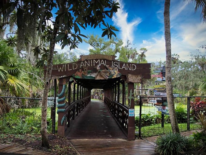 "Wild Animal Island" entrance: the gateway to adventure that promises close encounters with Florida's most fascinating residents&mdash;no Mickey ears required.