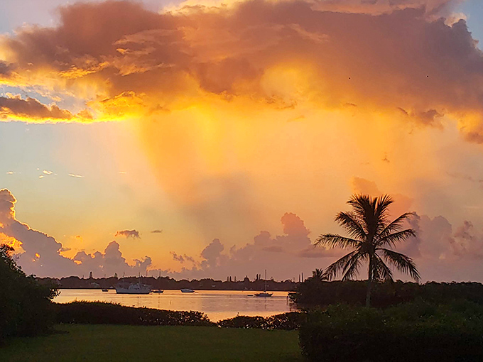 Sunsets here perform like Broadway shows, but without the ticket prices. Golden hour delivers its promise every single evening.