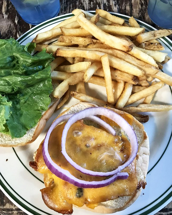 Cheese melting over a perfectly grilled patty with rings of red onion standing at attention. This isn't just lunch; it's a masterpiece.