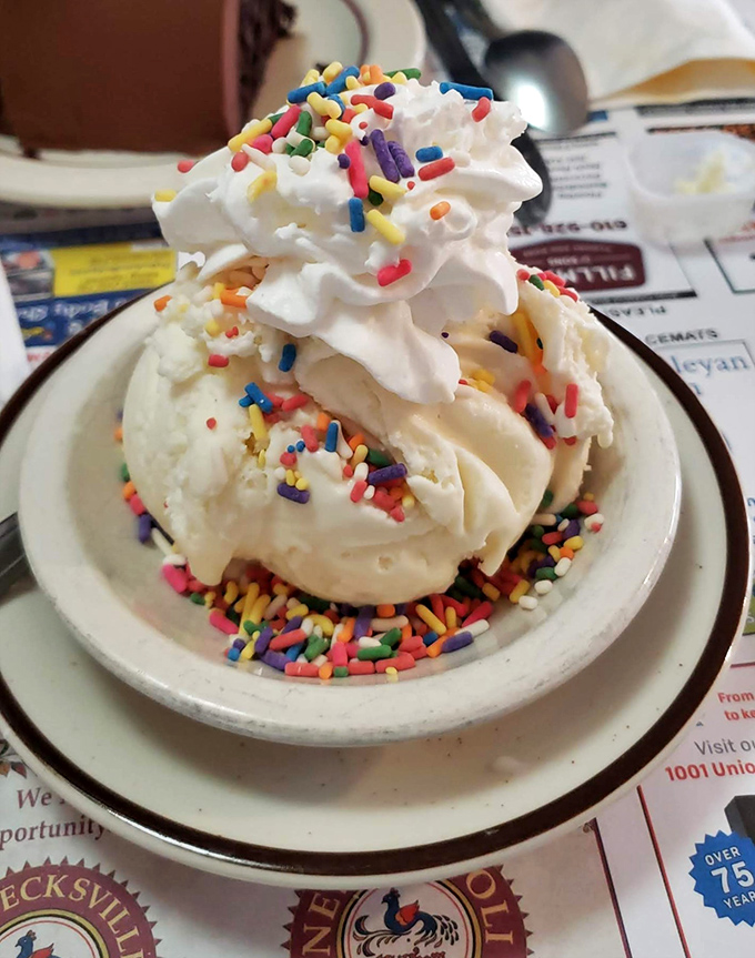 Ice cream crowned with whipped cream and rainbow sprinkles—proof that happiness can be served in a bowl and eaten with a spoon.