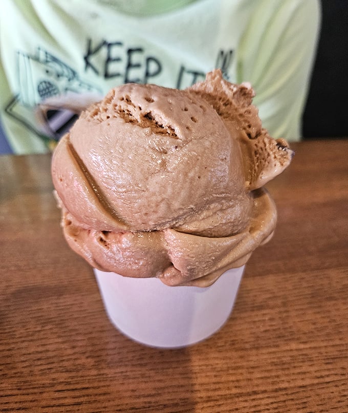 Ice cream that doesn't care about your diet plans &ndash; a cool, creamy rebellion against restraint that's worth every delicious calorie.