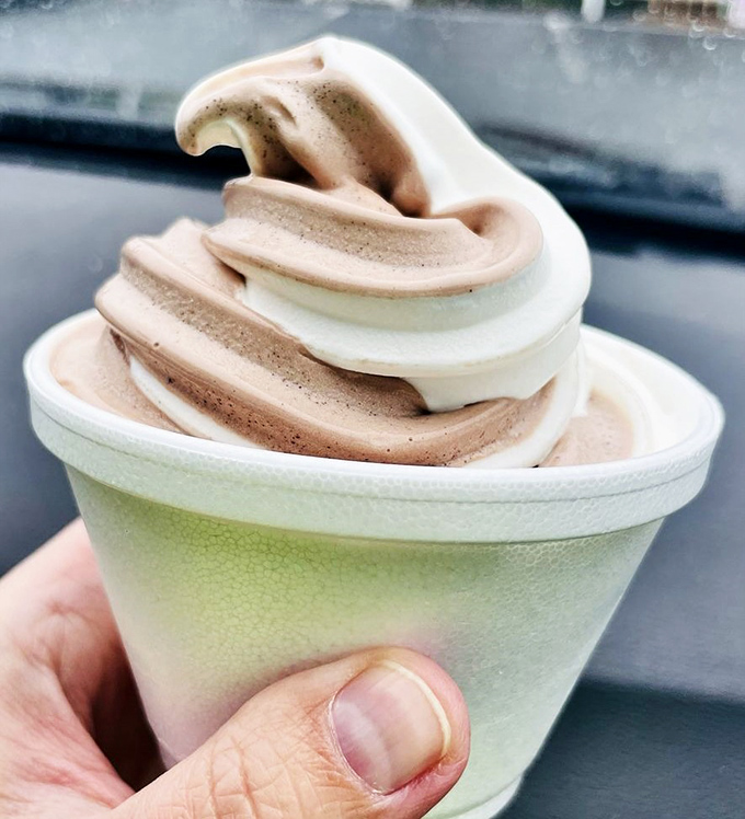The swirl of vanilla and chocolate soft serve isn't just ice cream; it's an edible work of art that melts into memories faster than it melts in your hand.