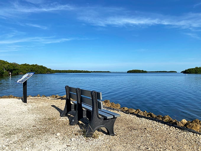 Tranquil waters of the J.N. "Ding" Darling Wildlife Refuge invite contemplation. Nature's therapy session comes with a view.