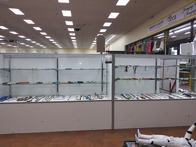 The jewelry counter gleams with possibility. Behind glass, vintage costume pieces and occasional fine jewelry wait for their perfect match. 