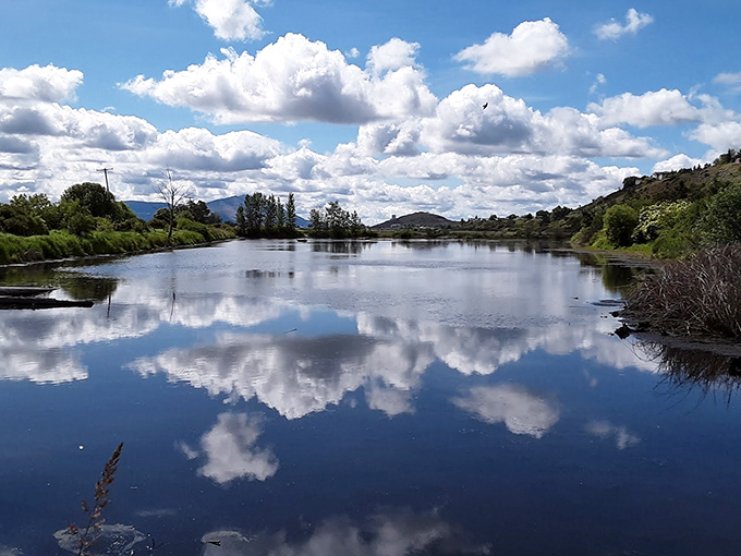 Dagwood's Burgers serves up small-town charm with a side of nostalgia. The kind of place where calories don't count because you're "supporting local business."