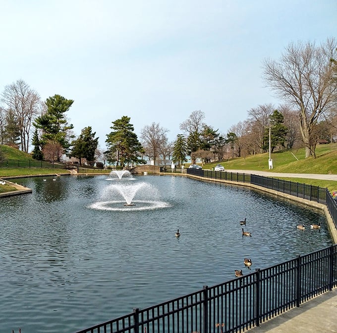 Lake Shore Park's fountain creates a soothing soundtrack for duck-watching – nature's version of dinner and a show.