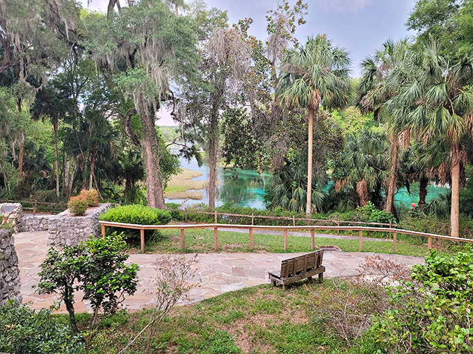 The ultimate meditation spot: a lone bench overlooking emerald waters, where sitting still becomes an adventure in itself.