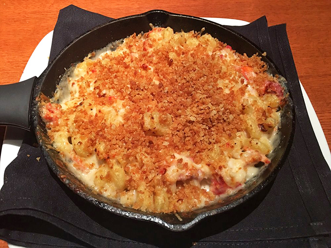 Lobster mac and cheese: where childhood nostalgia meets grown-up luxury. The golden crust hides a treasure of creamy, cheesy, lobster-studded bliss beneath. 